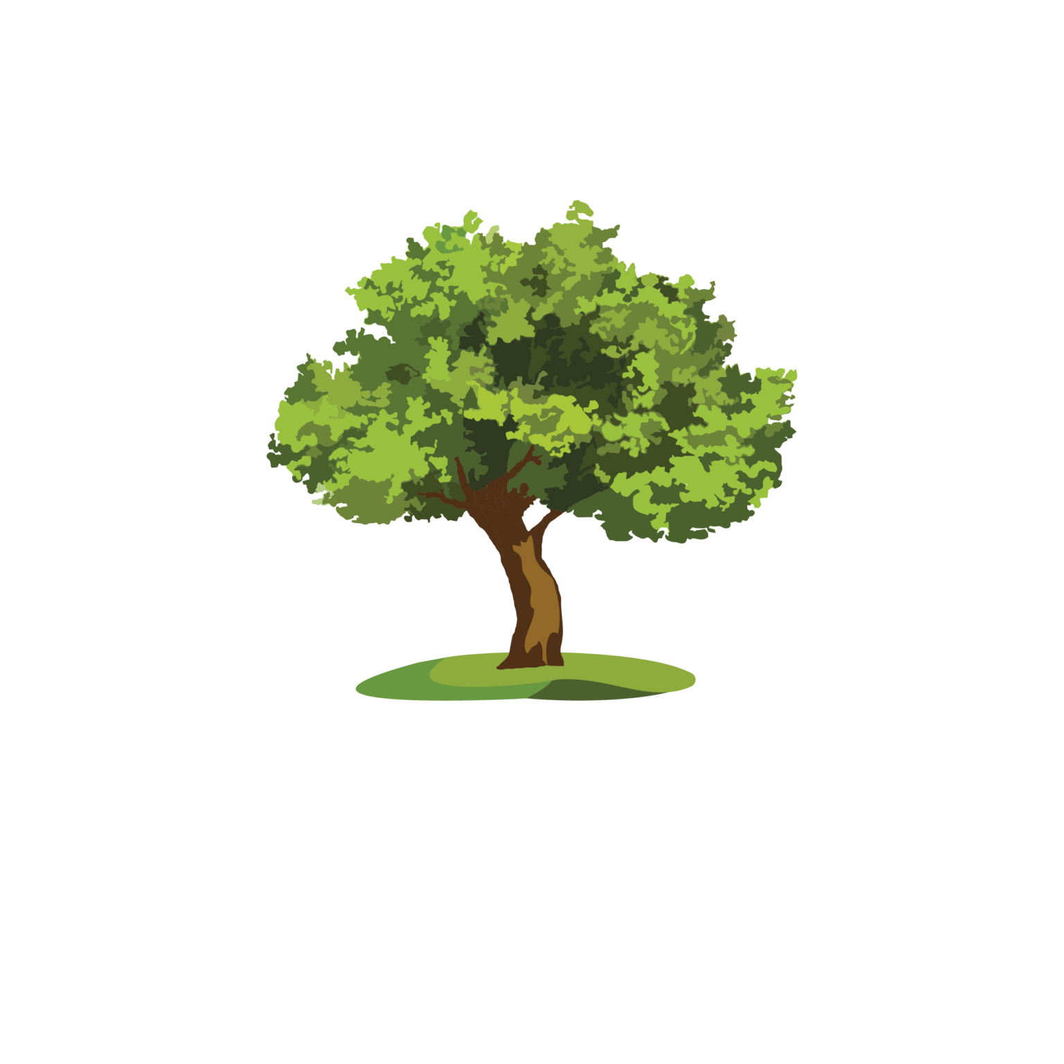Ensa Mns
